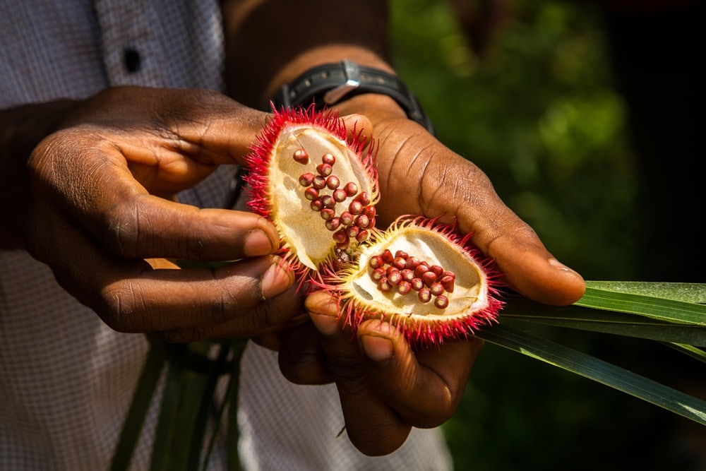 Spice Tour Zanzibar, una dintre cele mai des intalnite excursii ...