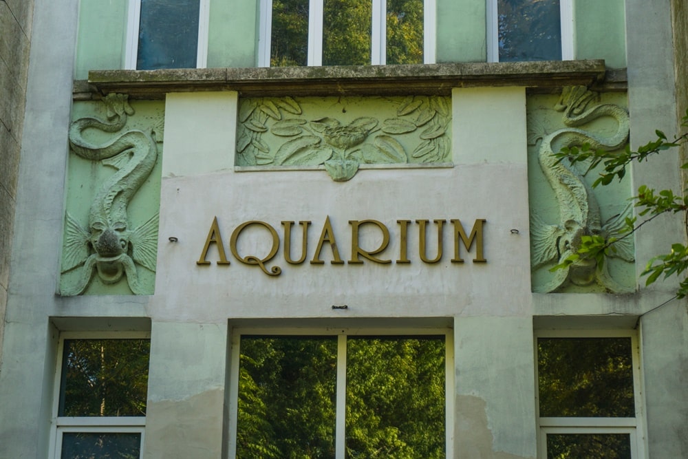 Vizita la Varna Aquarium. Totul despre atractii, program de vizitare si ...